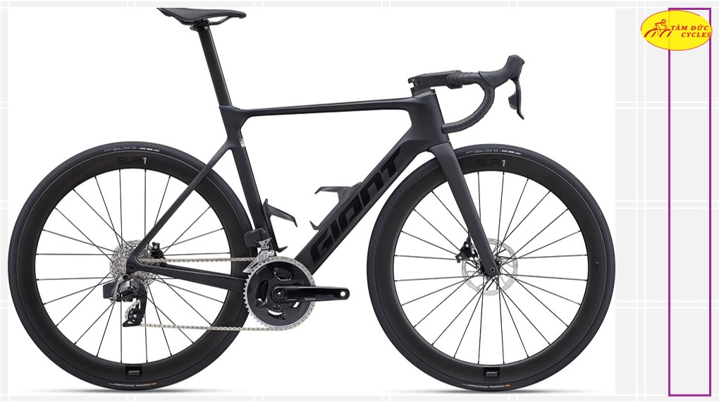 XE ĐẠP ĐUA GIANT ADV PROPEL PRO 1 2024